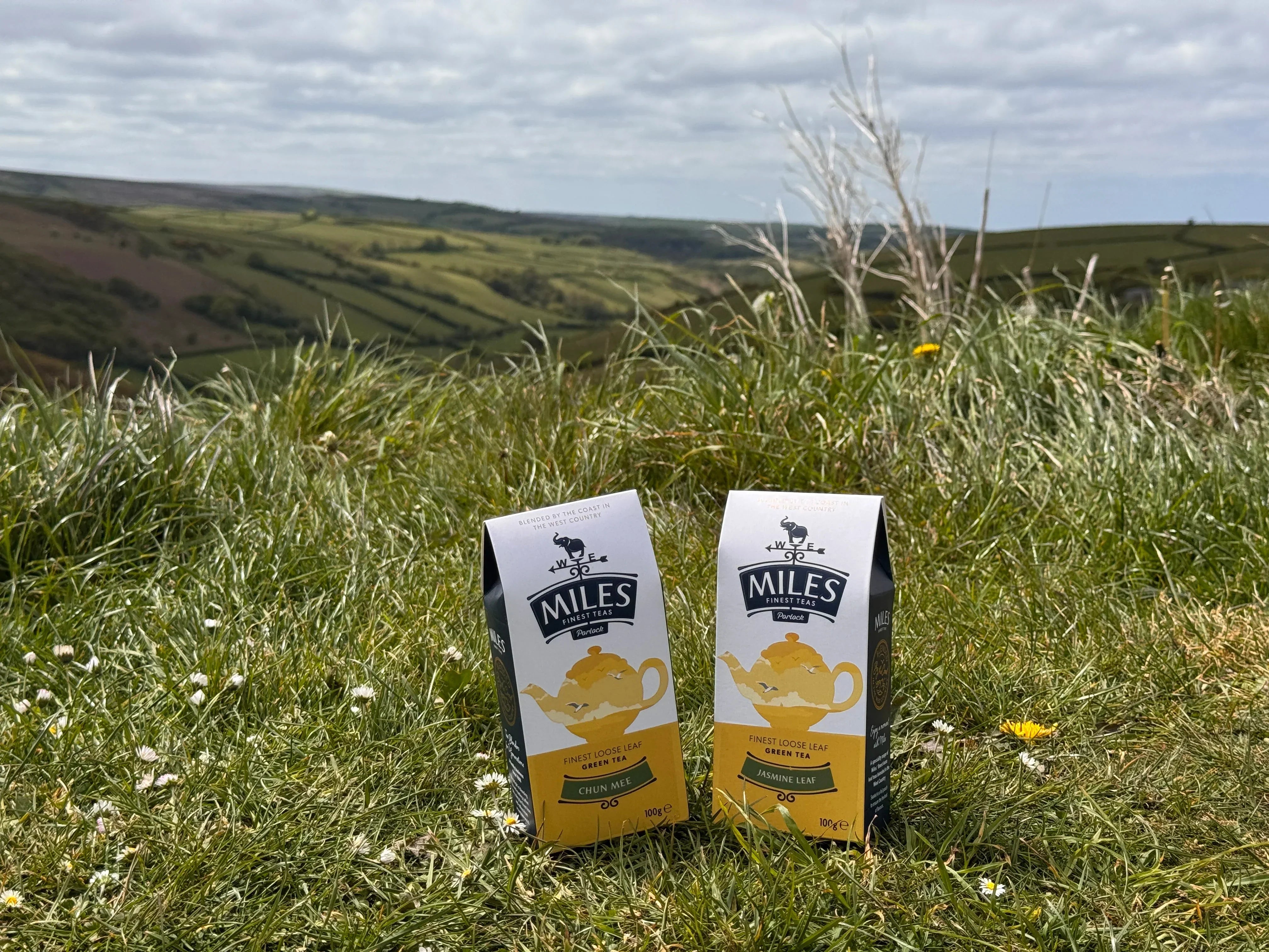 What are the health benefits of green tea? – Miles Tea & Coffee